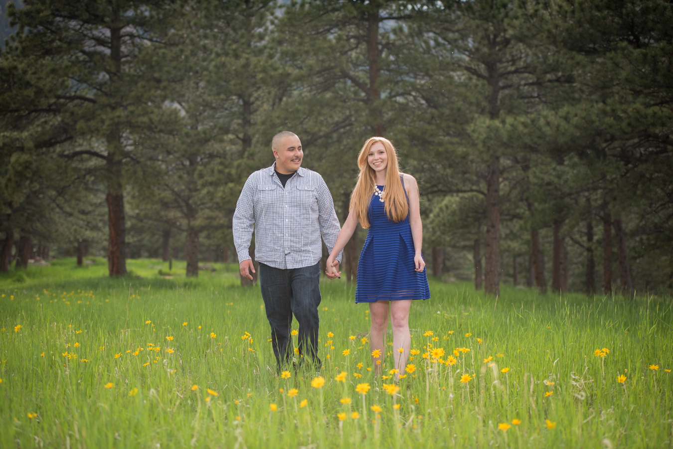 NCAR Boulder Colorado Engagement in Fields By Flatirons