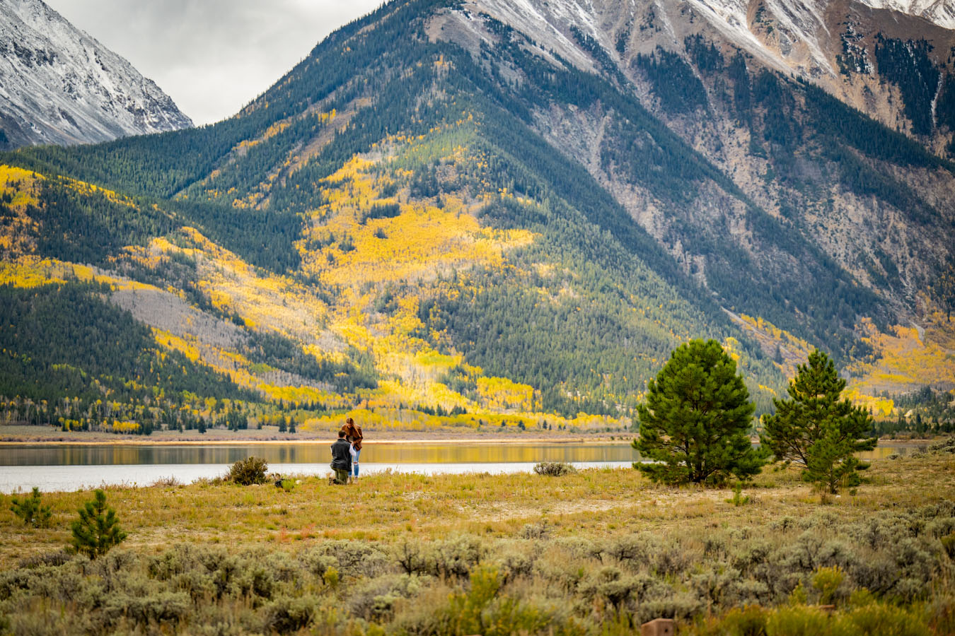 Proposal at Twin Lakes During Fall Colors Peak in Colorado
